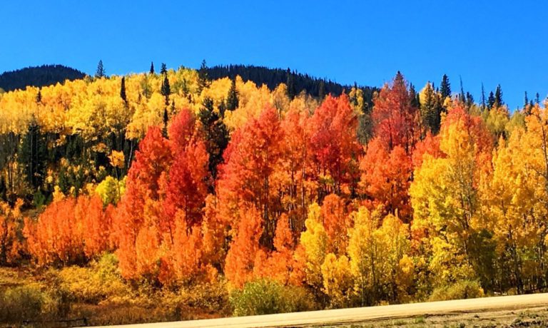 How High Is Aspen? What Is The Elevation Of Aspen